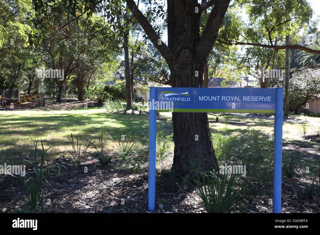 Mount royal reserve hi-res stock photography and images - Alamy