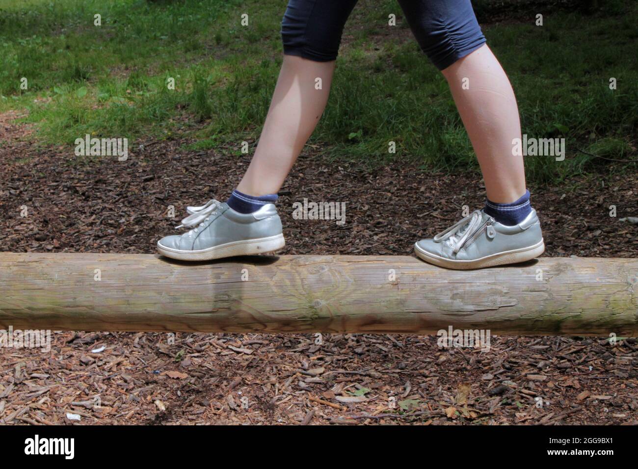 Tree trunk legs hi-res stock photography and images - Alamy