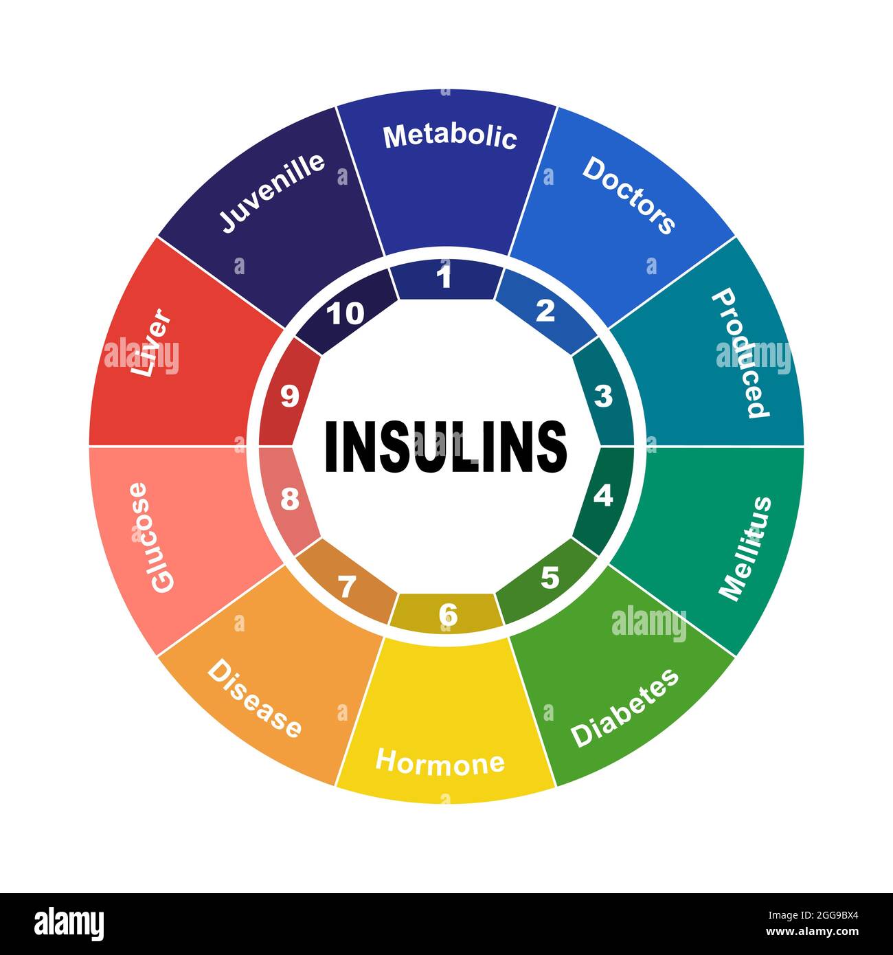 Diagram concept with Insulin text and keywords. EPS 10 isolated on ...