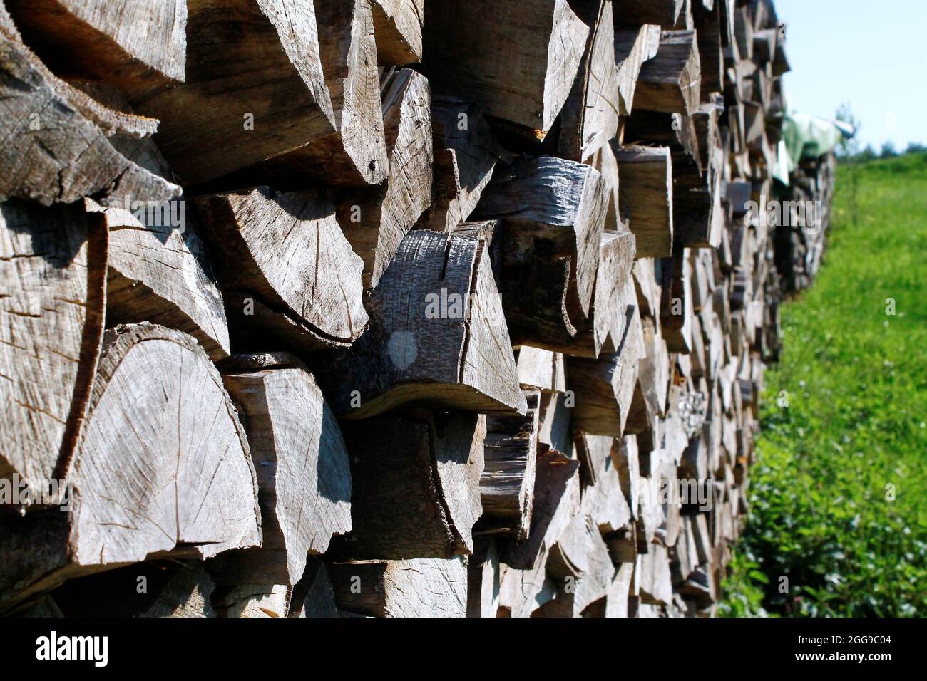 pile of stacked fire wood on a lawn Stock Photo - Alamy