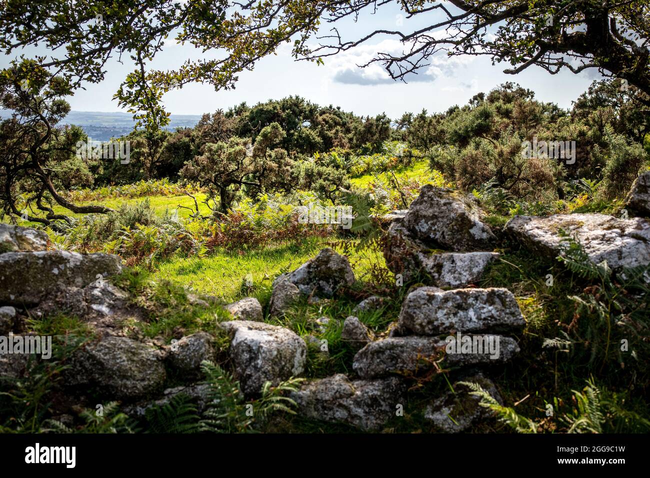 Caradon hill moorland view Cornwall Stock Photo - Alamy