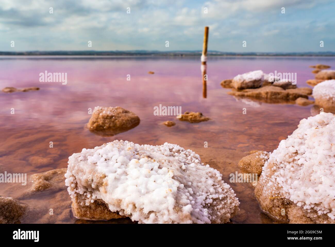 Salty rocks at Torrevieja Pink Lake at Natural Park de Las Lagunas de ...