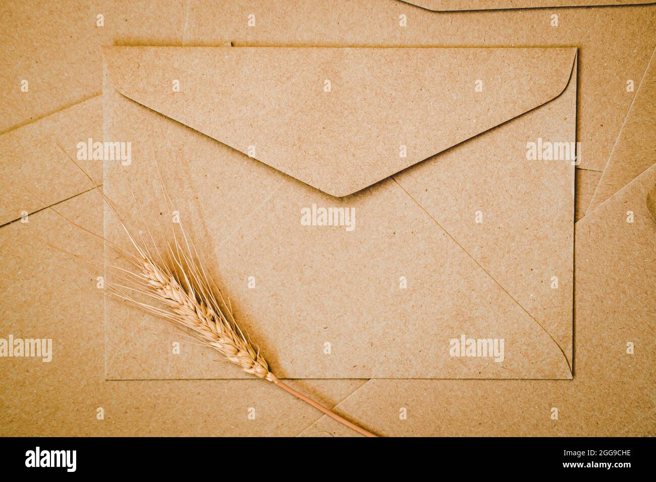 Brown paper envelope with Barley dry flower. Close-up of Craft envelope ...