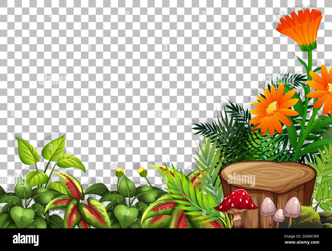 Various tropical leaves on transparent background illustration Stock ...