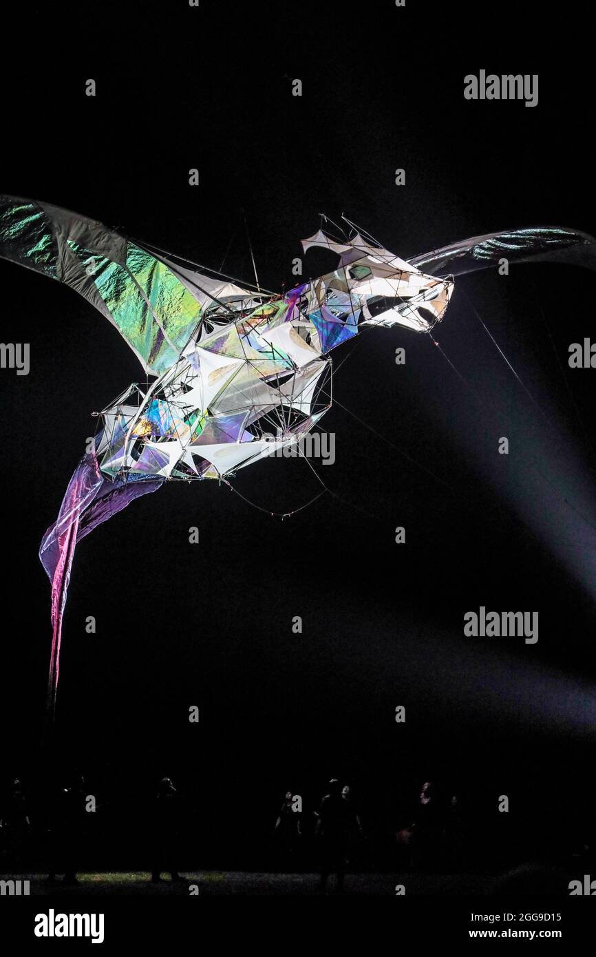 The Hatchling both a puppet and kite, at the moment of lift off on ...