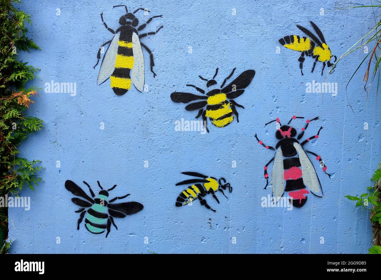 Sprayed insects, wall in Berlin Stock Photo - Alamy