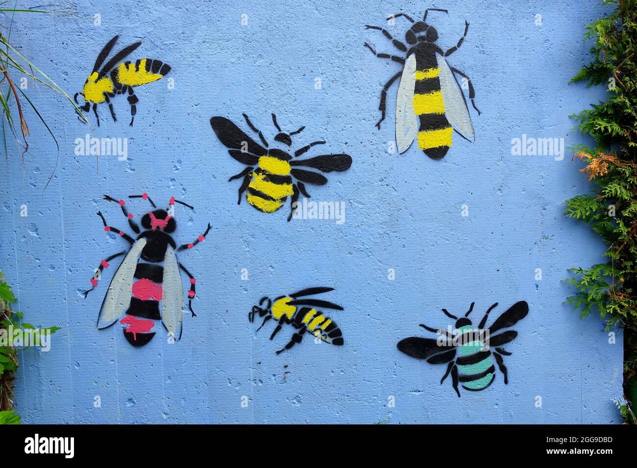 Sprayed insects, wall in Berlin Stock Photo - Alamy