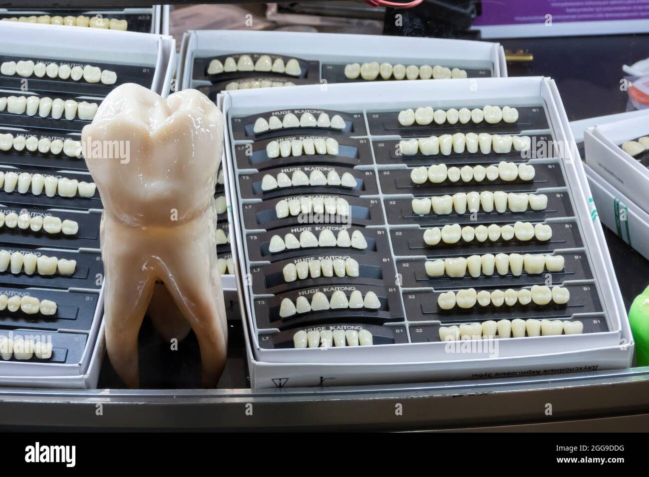MOSCOW, RUSSIA - SEP 27, 2018 Artificial acrylic teeth on DentalExpo ...