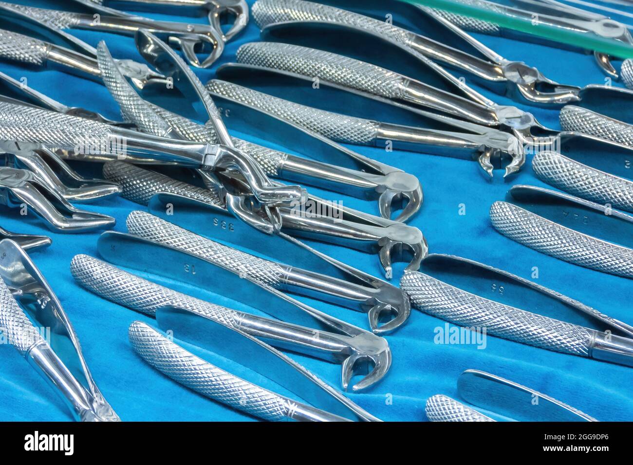 MOSCOW, RUSSIA - SEP 27, 2018. Dental forceps on DentalExpo Stock Photo ...