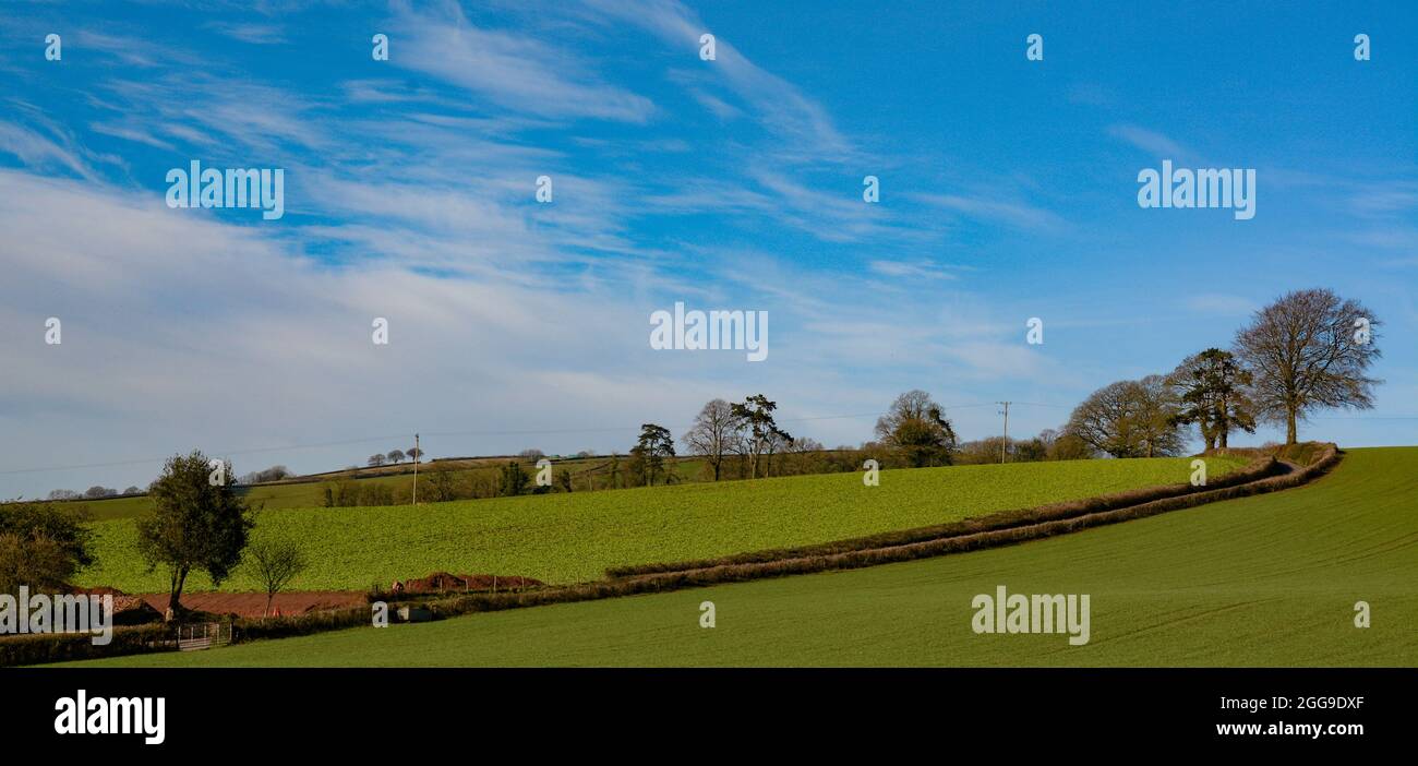 Farmland scenery near Bradninch in the Devon countryside Stock Photo ...