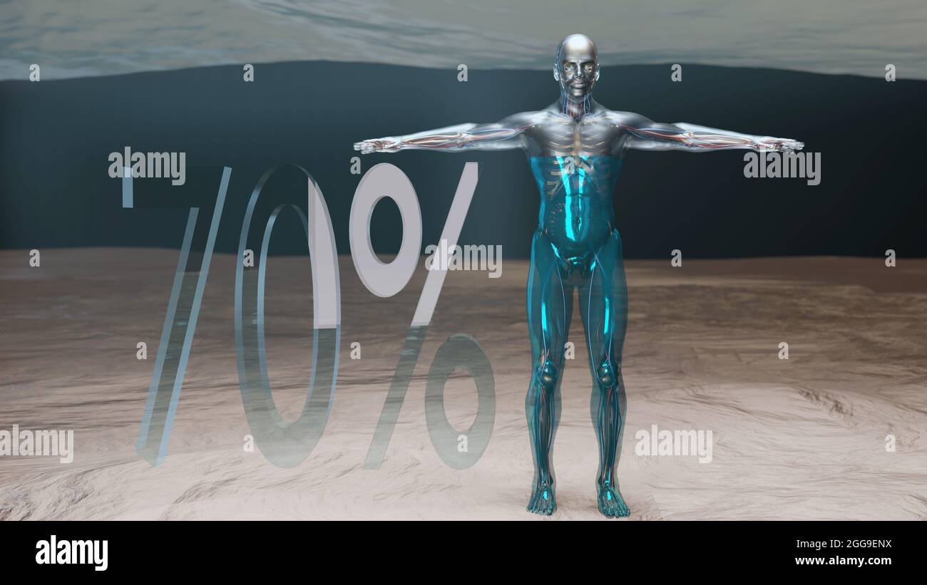 3d Illustration of body water balance, water in human body, 70% of the ...
