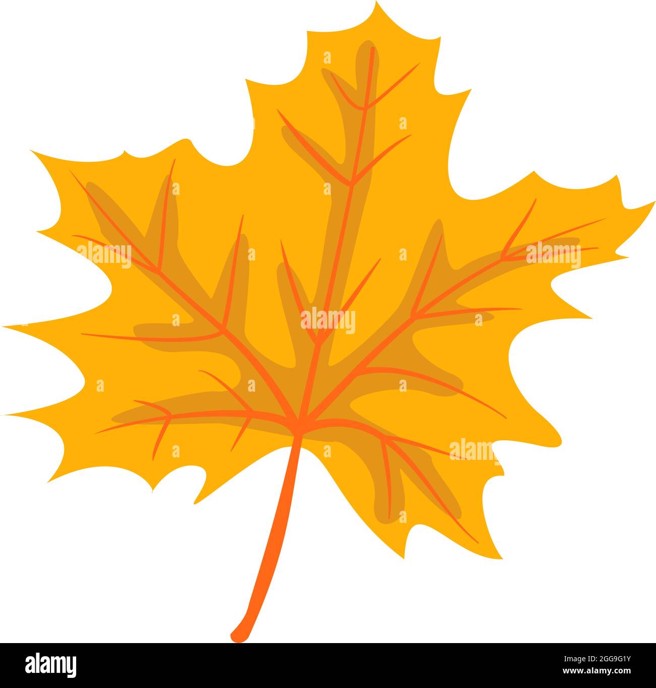 Maple yellow leaf Stock Vector Images - Alamy