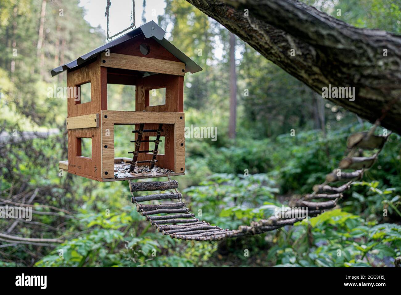 an original bird feeder house in a green summer forest. made with your ...