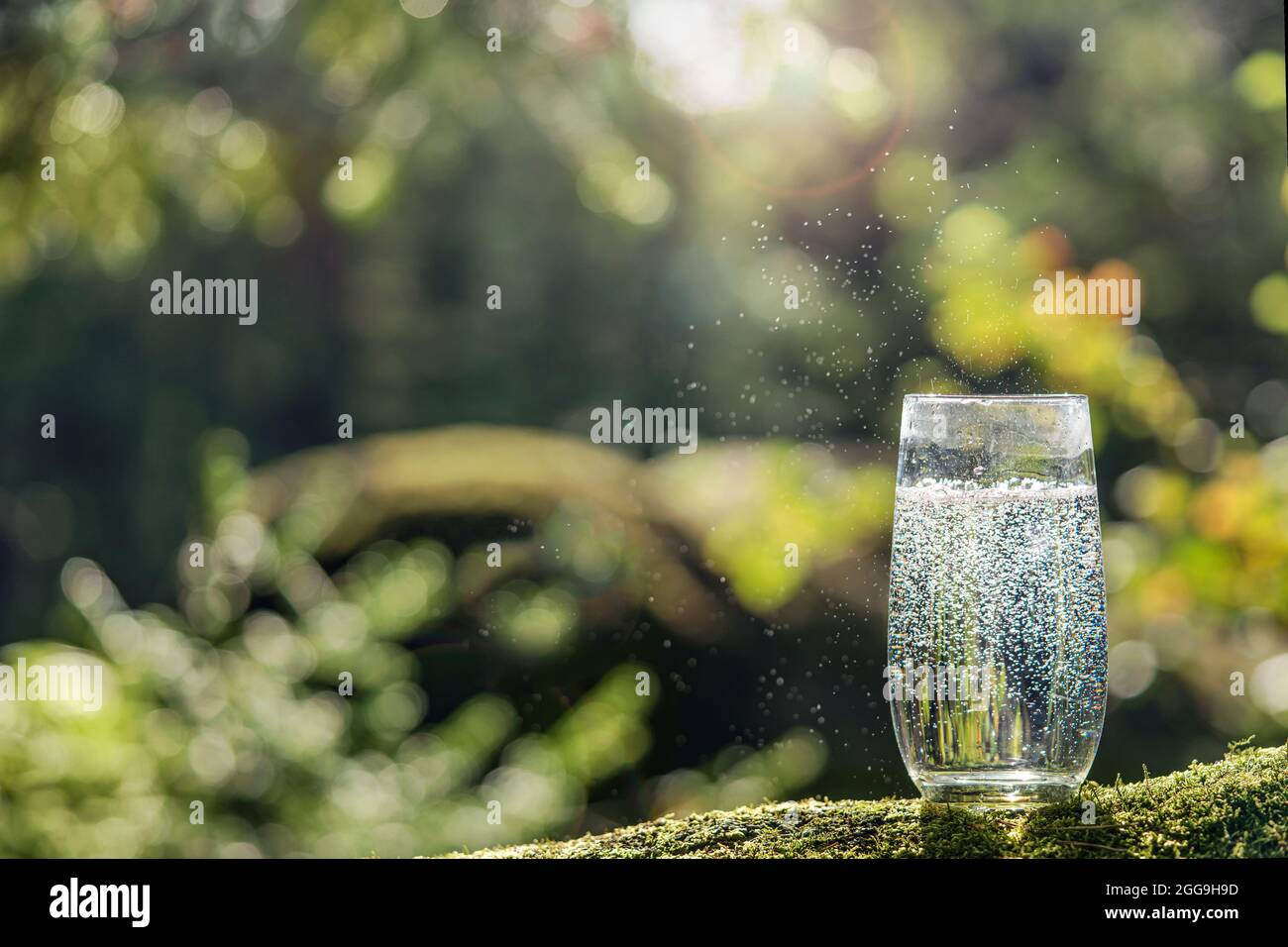 a glass of drinking water on the background of a forest in summer ...