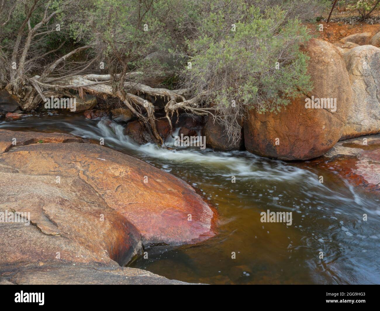 Jane brook hi-res stock photography and images - Alamy