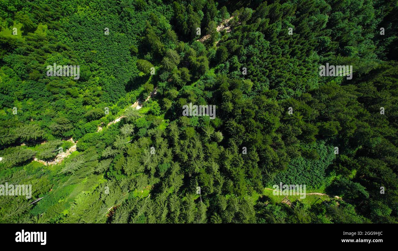 Aerial panoramic view lumber hi-res stock photography and images - Alamy