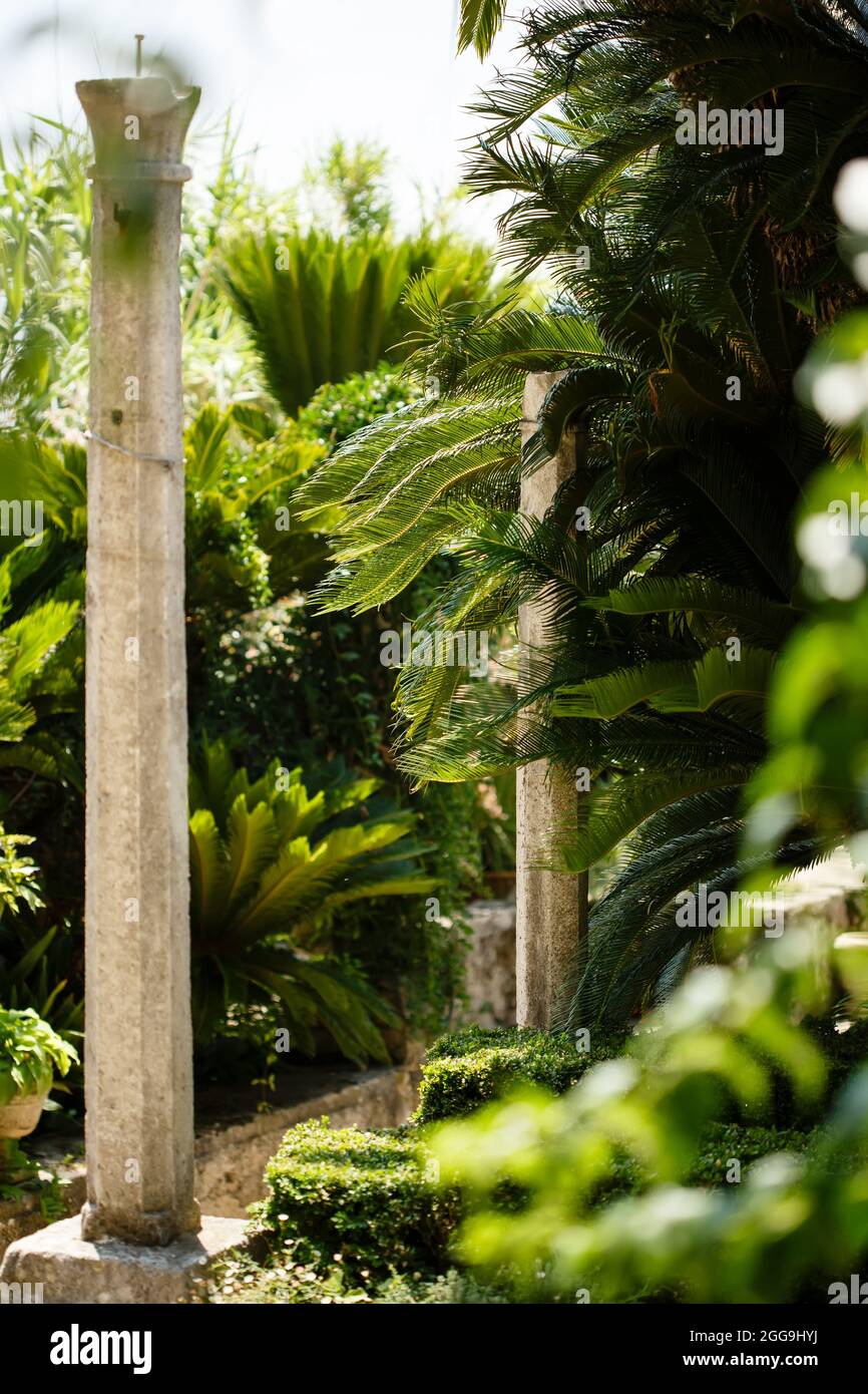 Old weathered ruins with classic columns in lush green tropical foliage ...