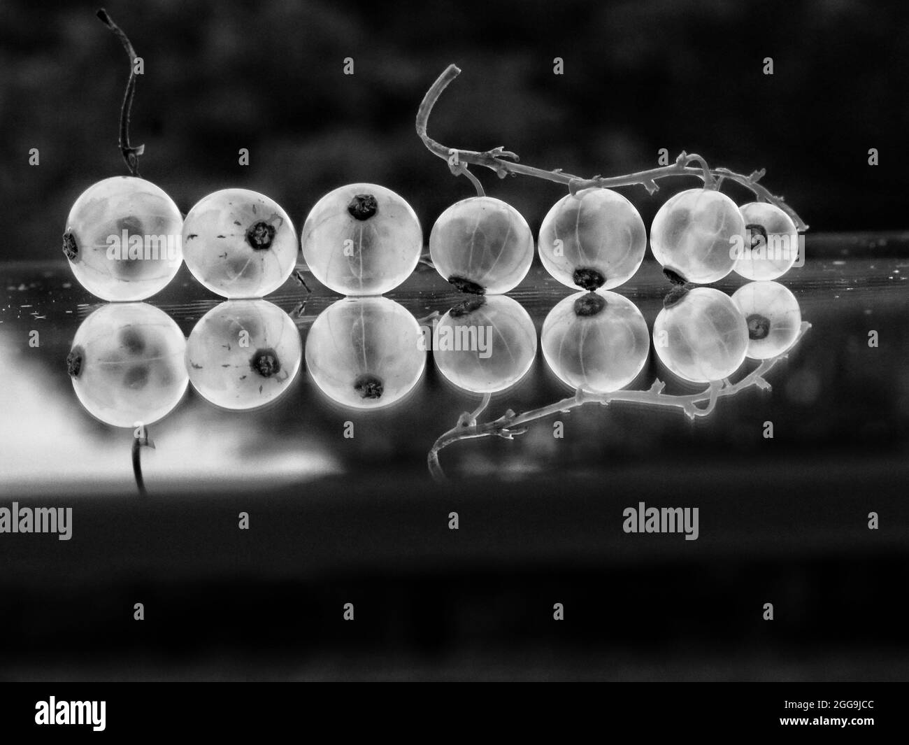 Translucent fruits Black and White Stock Photos & Images - Alamy