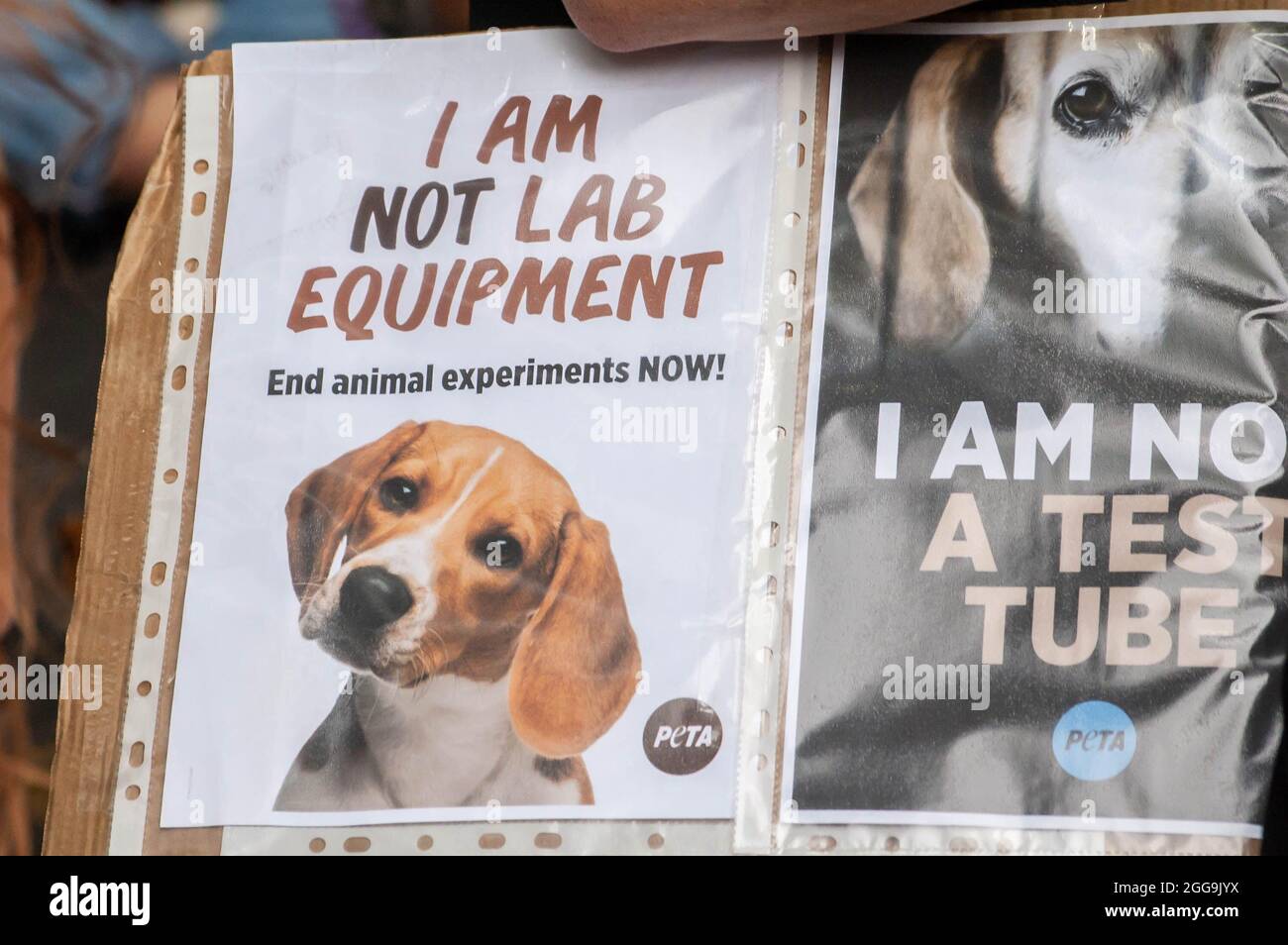 Peta animal testing hi-res stock photography and images - Alamy