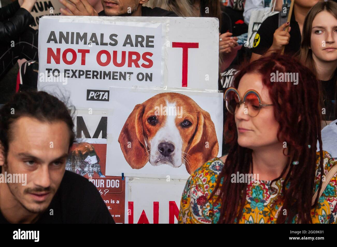 Peta animal testing hi-res stock photography and images - Alamy