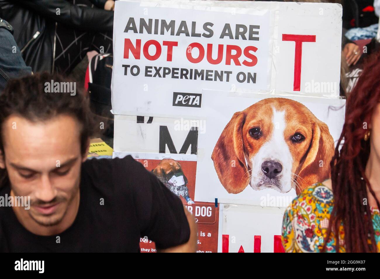 Peta animal testing hi-res stock photography and images - Alamy