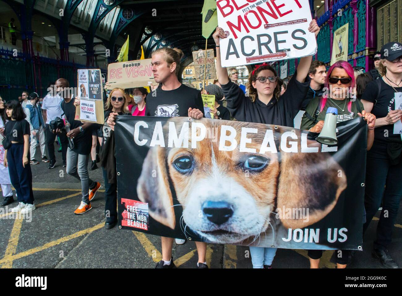 LONDON, ENGLAND- 28 August 2021: Animal Rebellion protesting to Free ...
