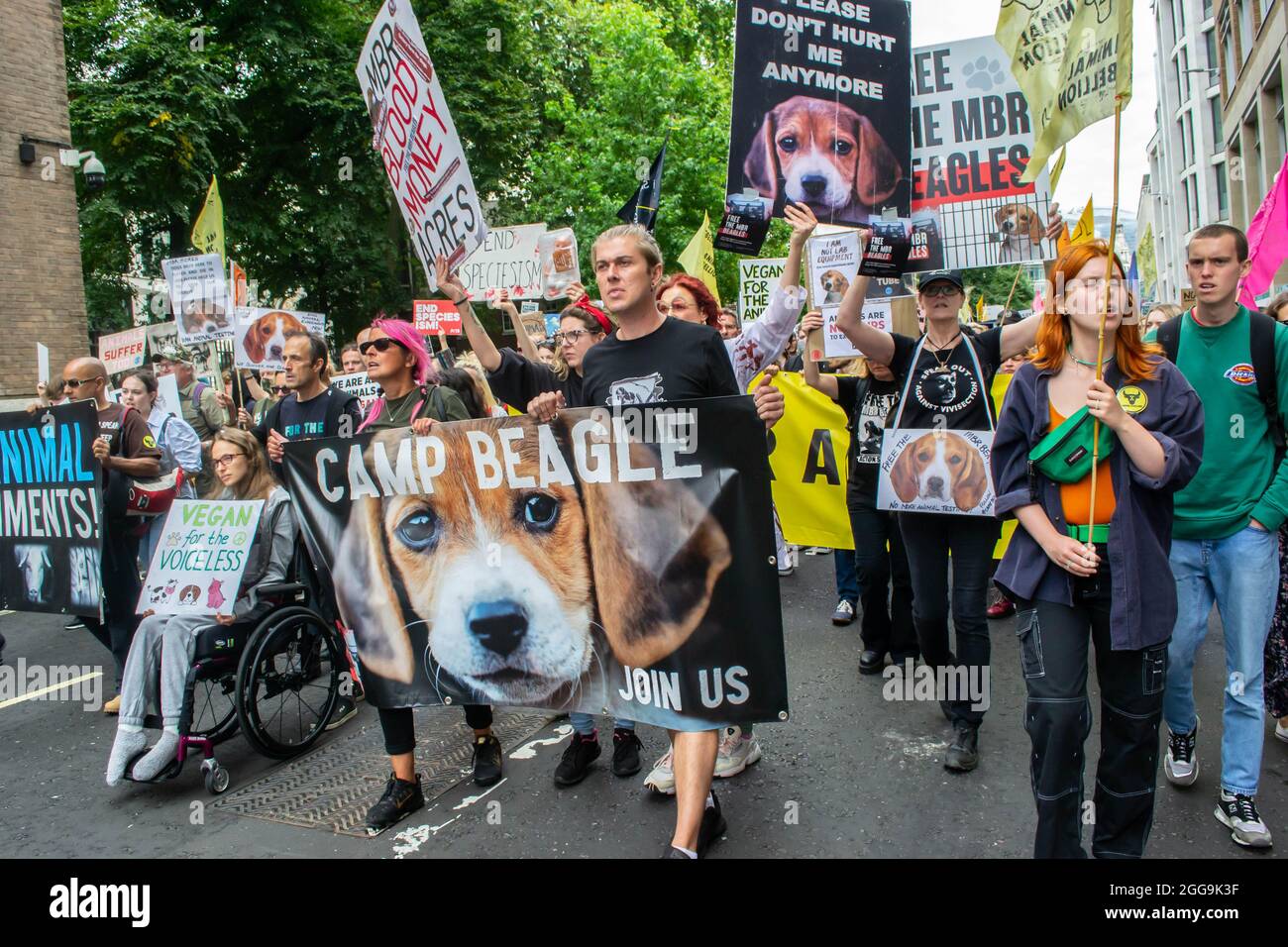 Mbr acres hi-res stock photography and images - Alamy