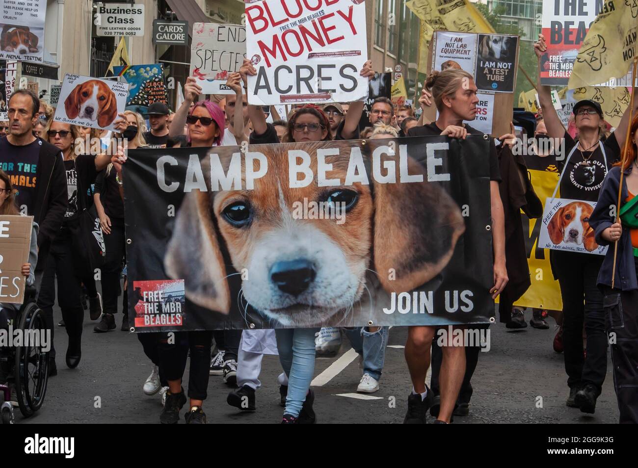 Mbr acres ltd hi-res stock photography and images - Alamy