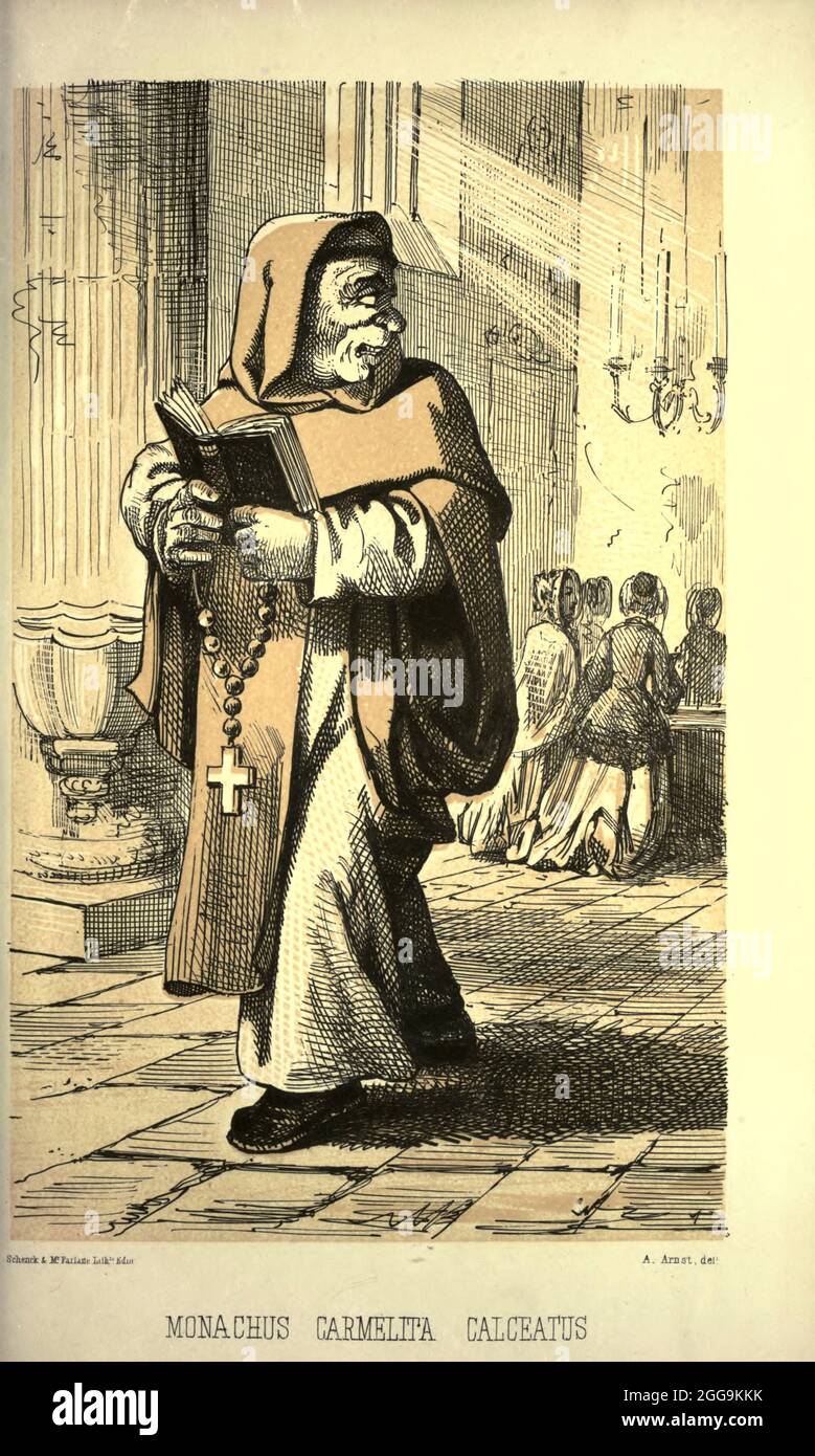 Calceatus hi-res stock photography and images - Alamy