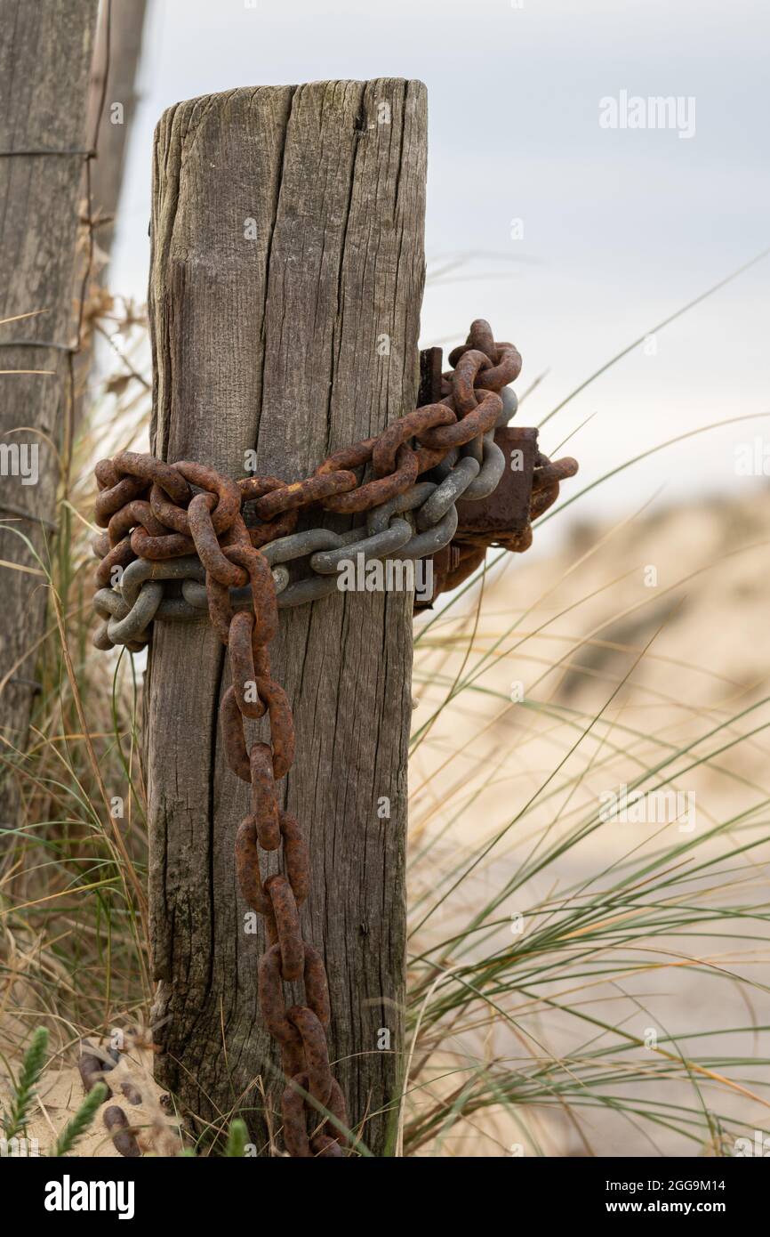 Vertical shot of an old rusty chain around a wooden pole at the beach ...