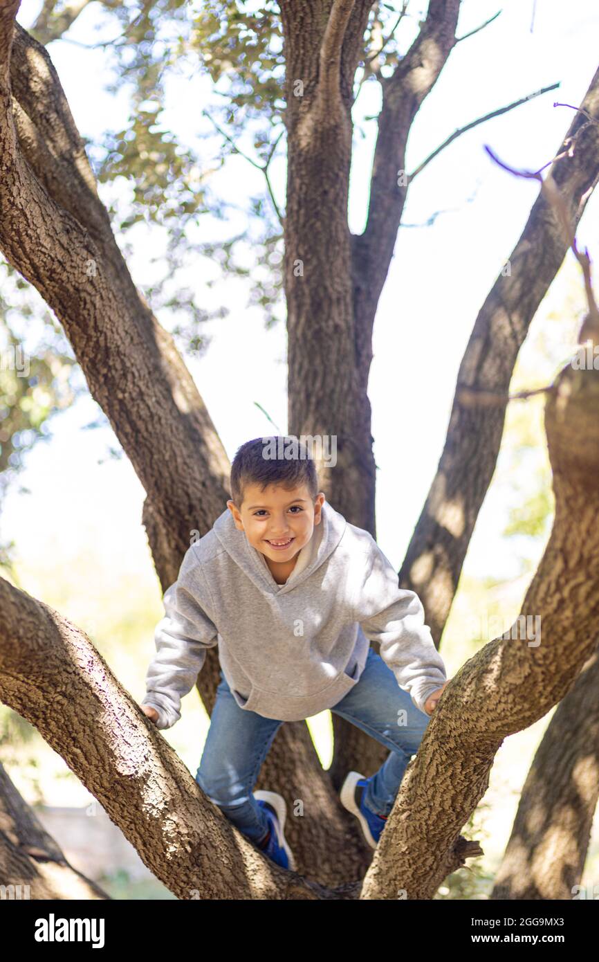 Funny boy climbing a big tree Stock Photo - Alamy