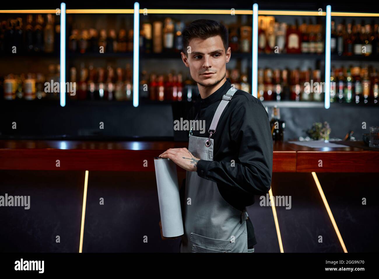 Handsome barman in apron standing at the bar counter Stock Photo - Alamy