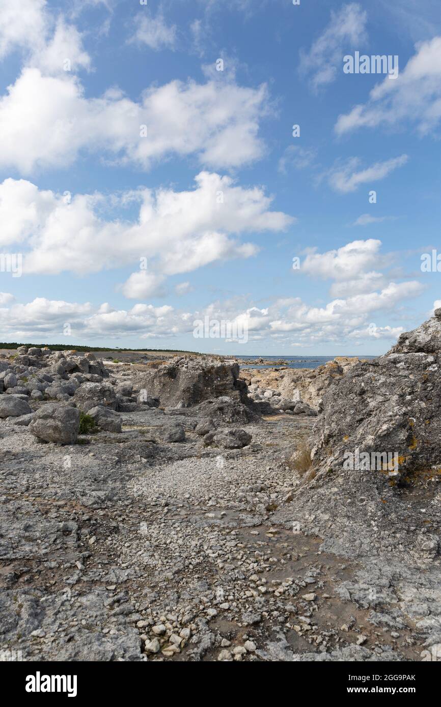 Coastal stones fossils hi-res stock photography and images - Alamy