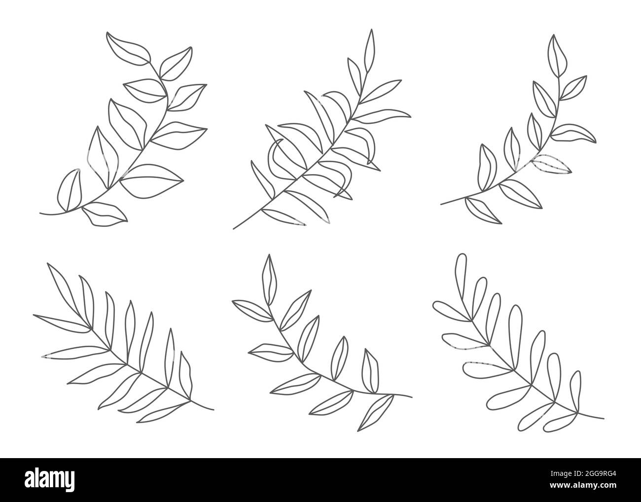Leaves in line style. Modern line art for poster and banner Stock ...