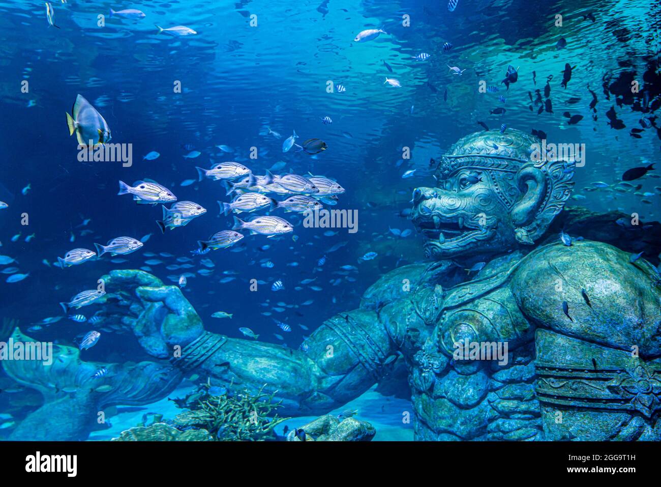 a passing school of exotic fish in a large aquarium with sea water, and ...