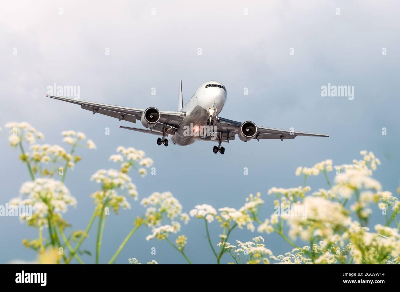 Passenger commercial airplane flies over flower fields at the airport ...