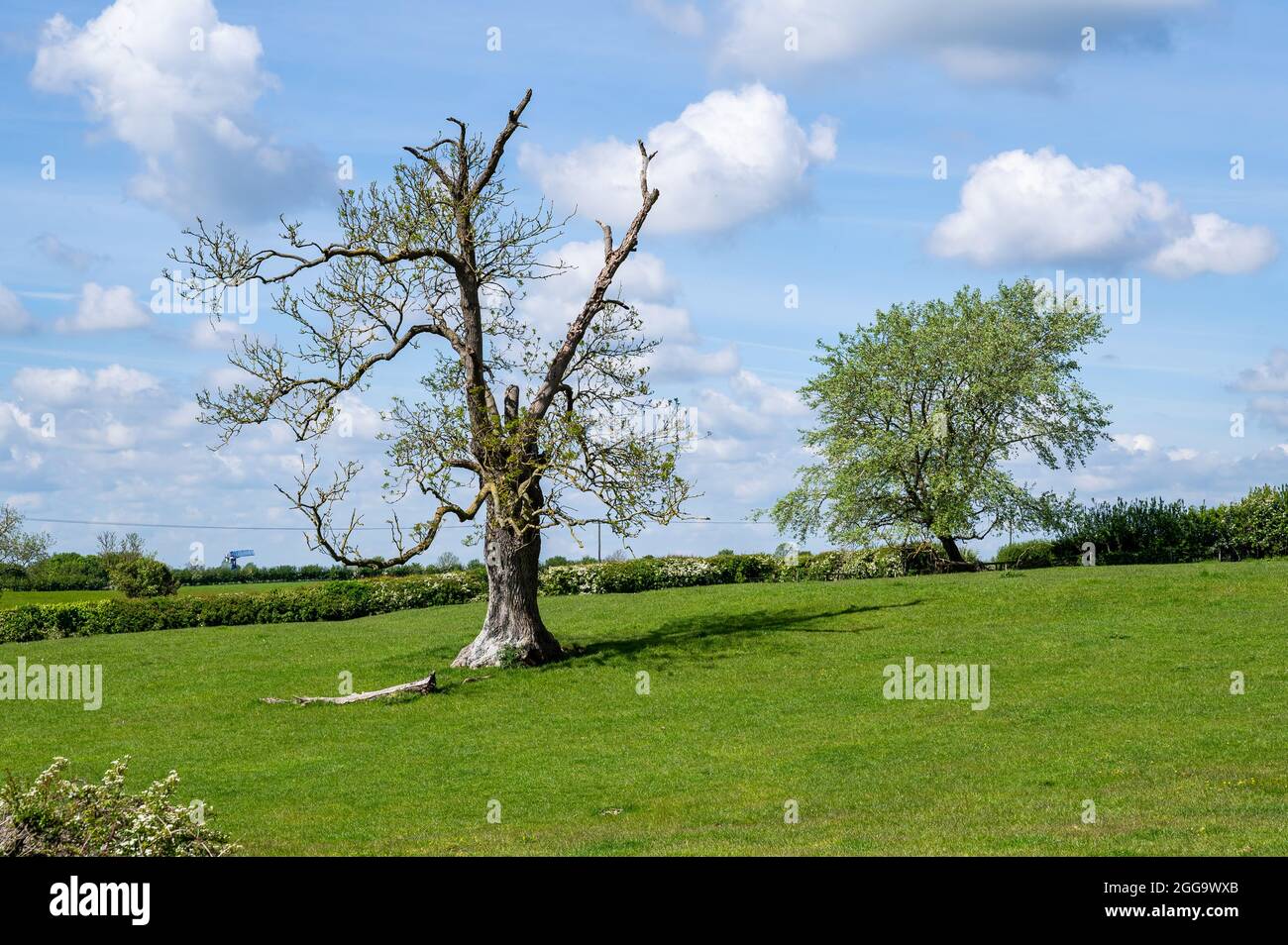 Hallworth farm hi-res stock photography and images - Alamy