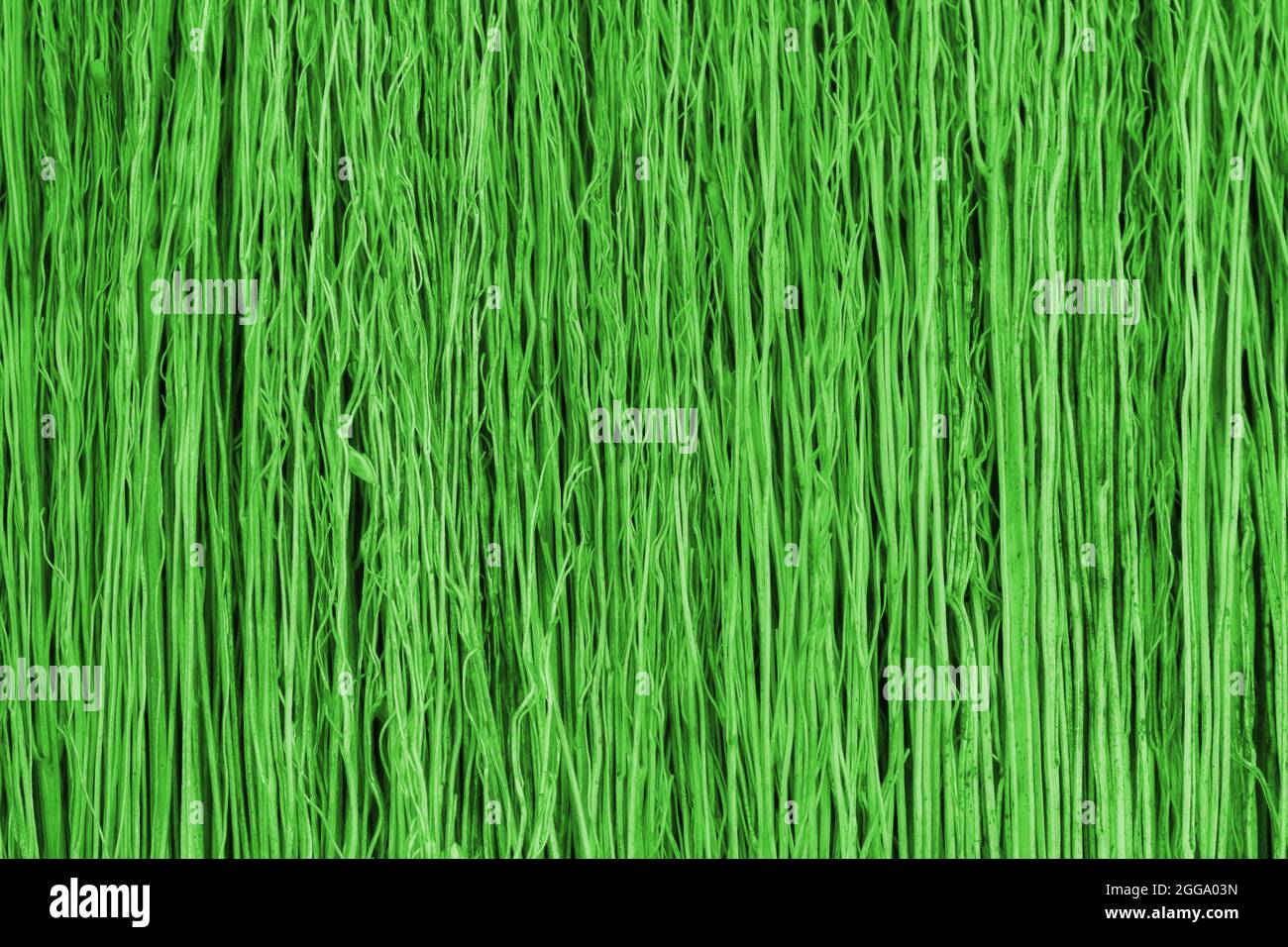 Abstract vegetative background made of vertical green stems Stock Photo ...