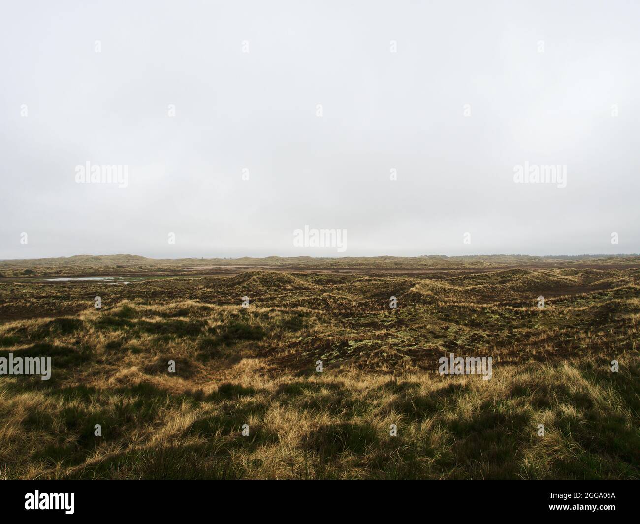 Danish desert hi-res stock photography and images - Alamy