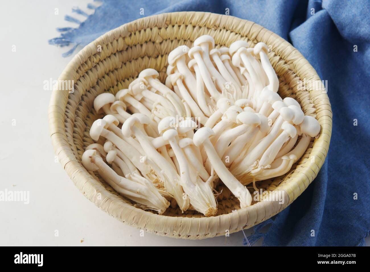 White mashroom hi-res stock photography and images - Alamy