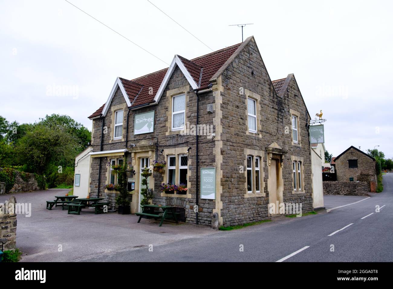 English elm tree hi-res stock photography and images - Alamy