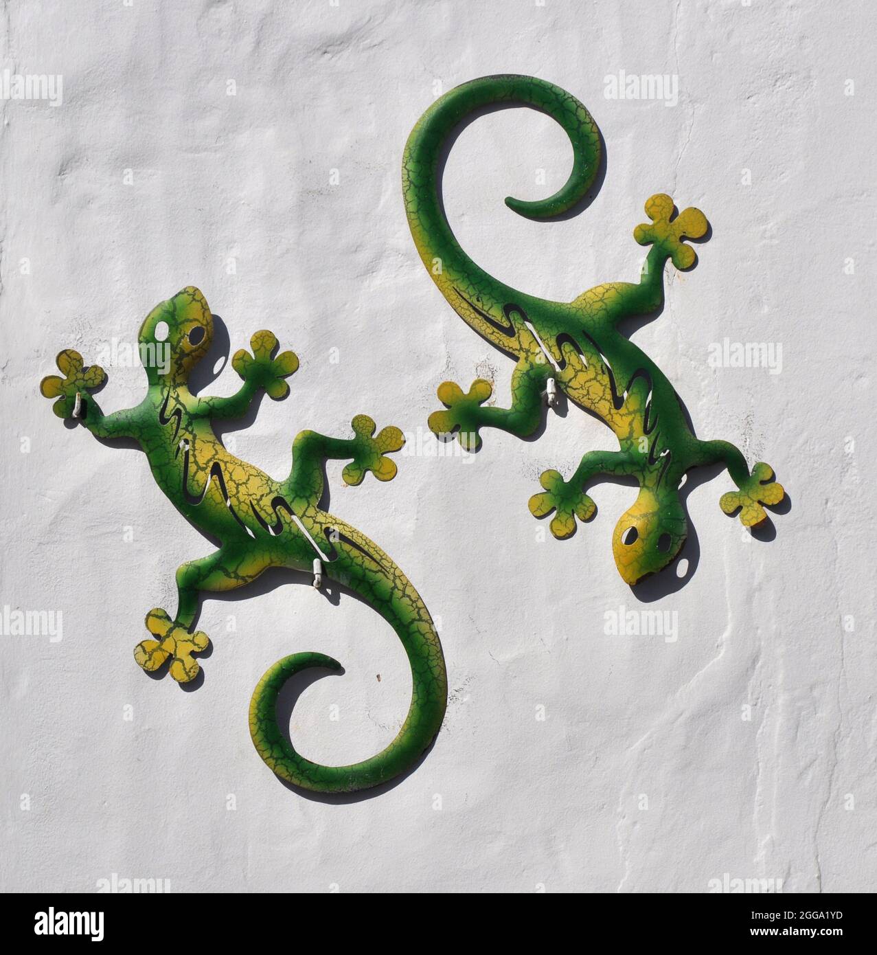 Two geckos hi-res stock photography and images - Alamy