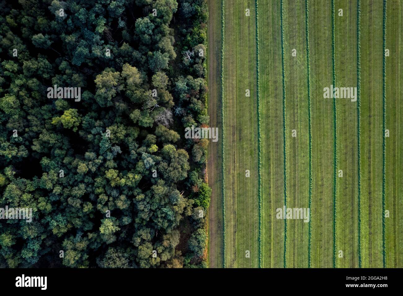 Dutch agriculture landscape seen from above Stock Photo - Alamy
