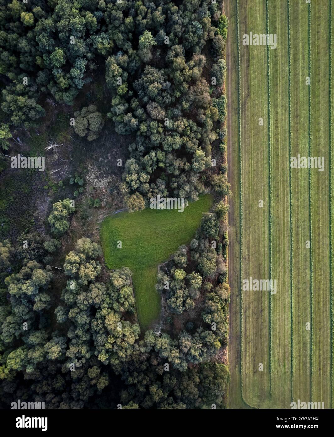 Dutch agriculture landscape seen from above Stock Photo - Alamy