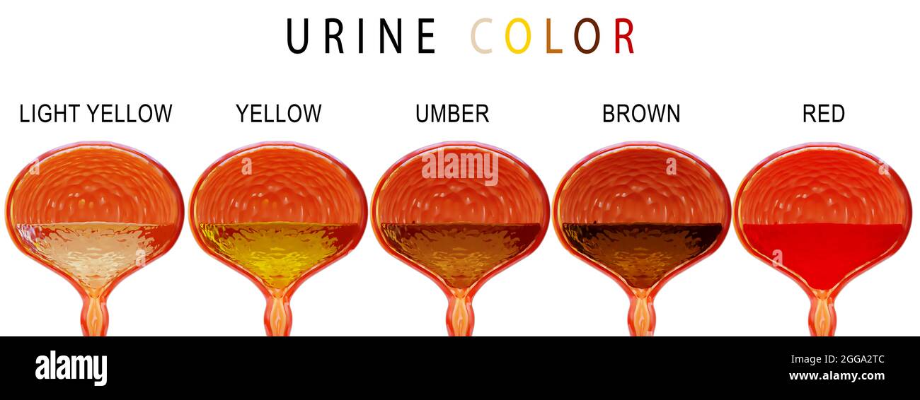 3d illustration of urine color. 3d render Stock Photo - Alamy