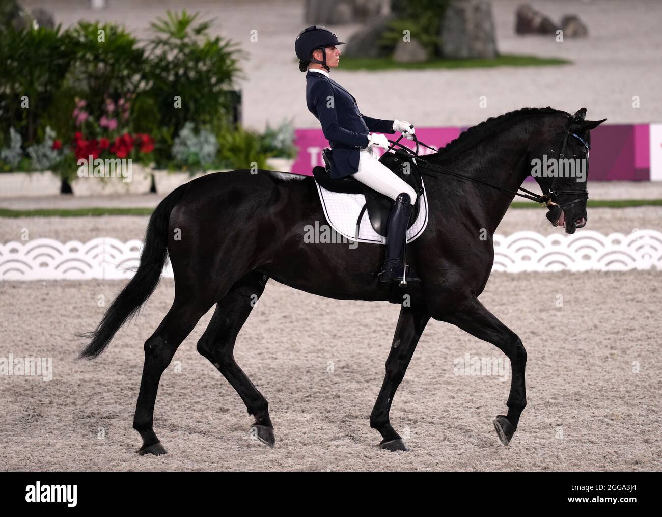 Russian Paralympic Committee's Iuliia Poliakova with horse Romina Power ...
