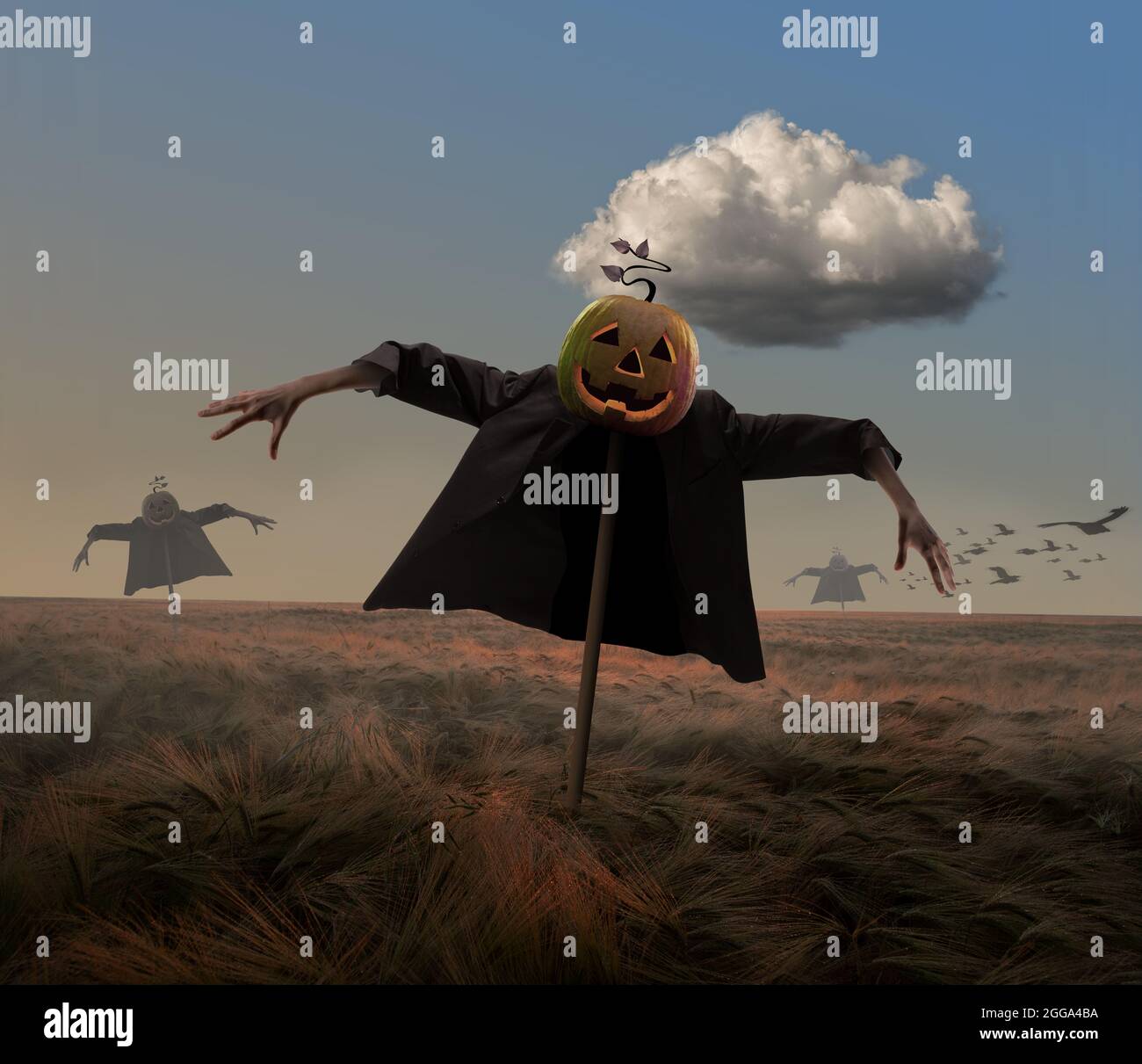 Creepy poster of pumpking scarecrow standing in terrifying field Stock ...