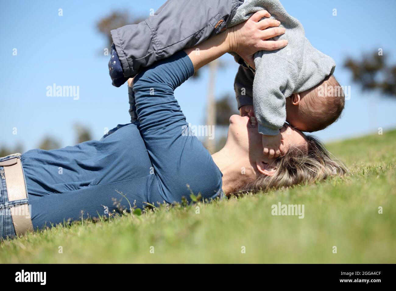Baby moth hi-res stock photography and images - Alamy