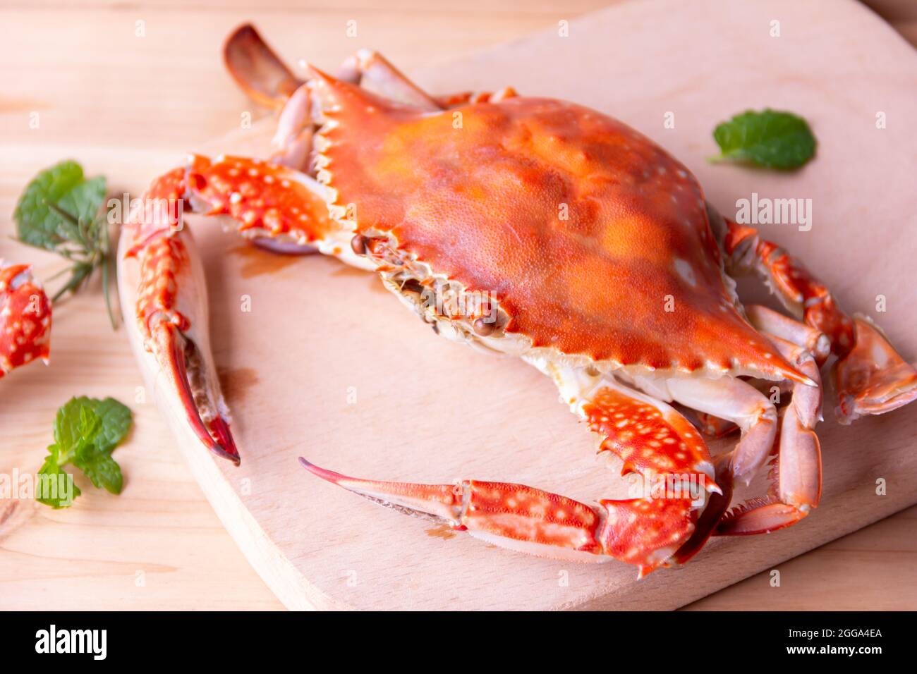 Blue Crab, boiled blue Crab gourmet, Seafood background Stock Photo - Alamy