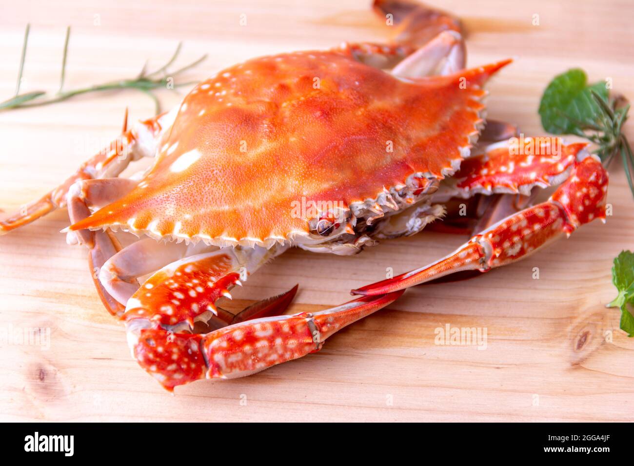 Blue Crab, boiled blue Crab gourmet, Seafood background Stock Photo - Alamy